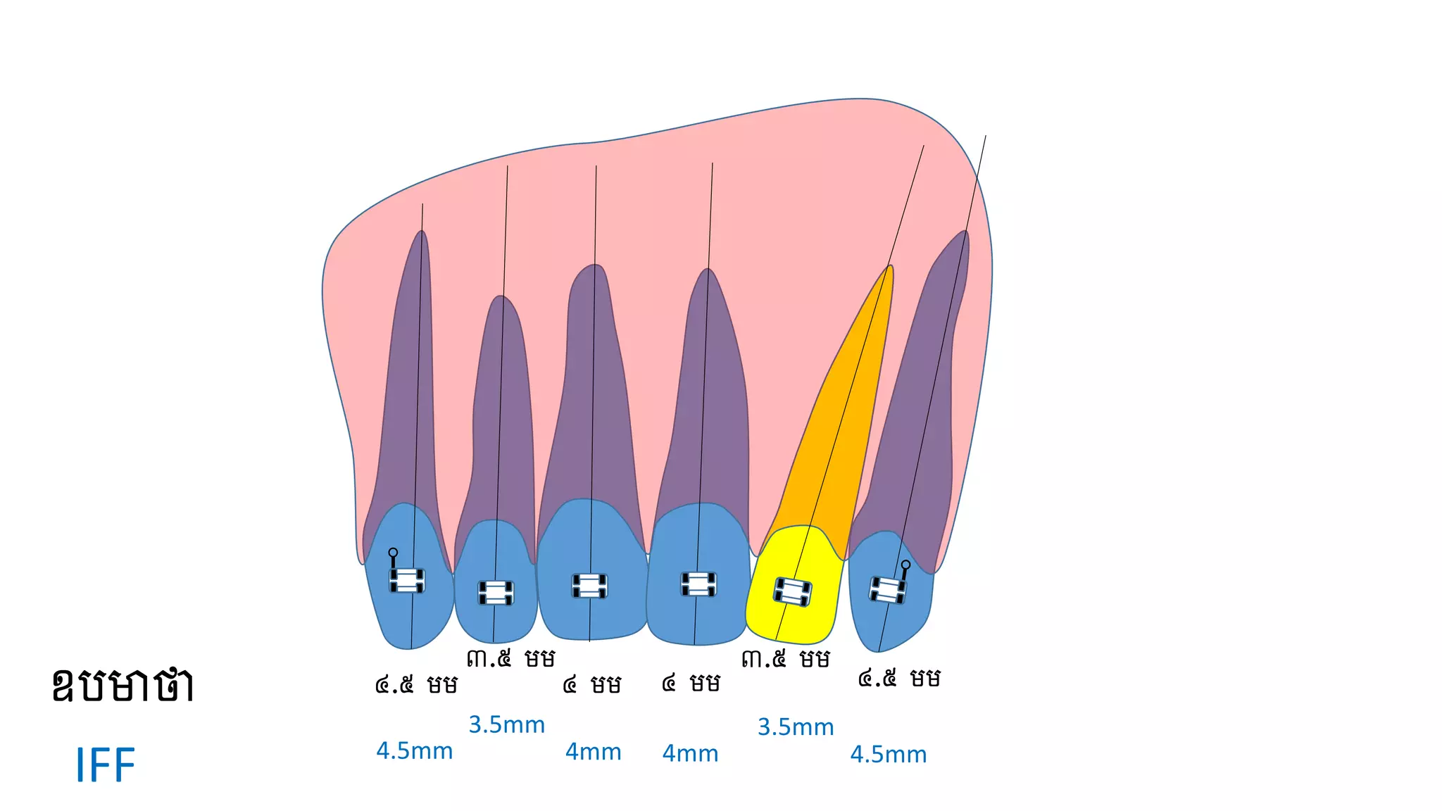 Alignment and rectangular loop | PPTX