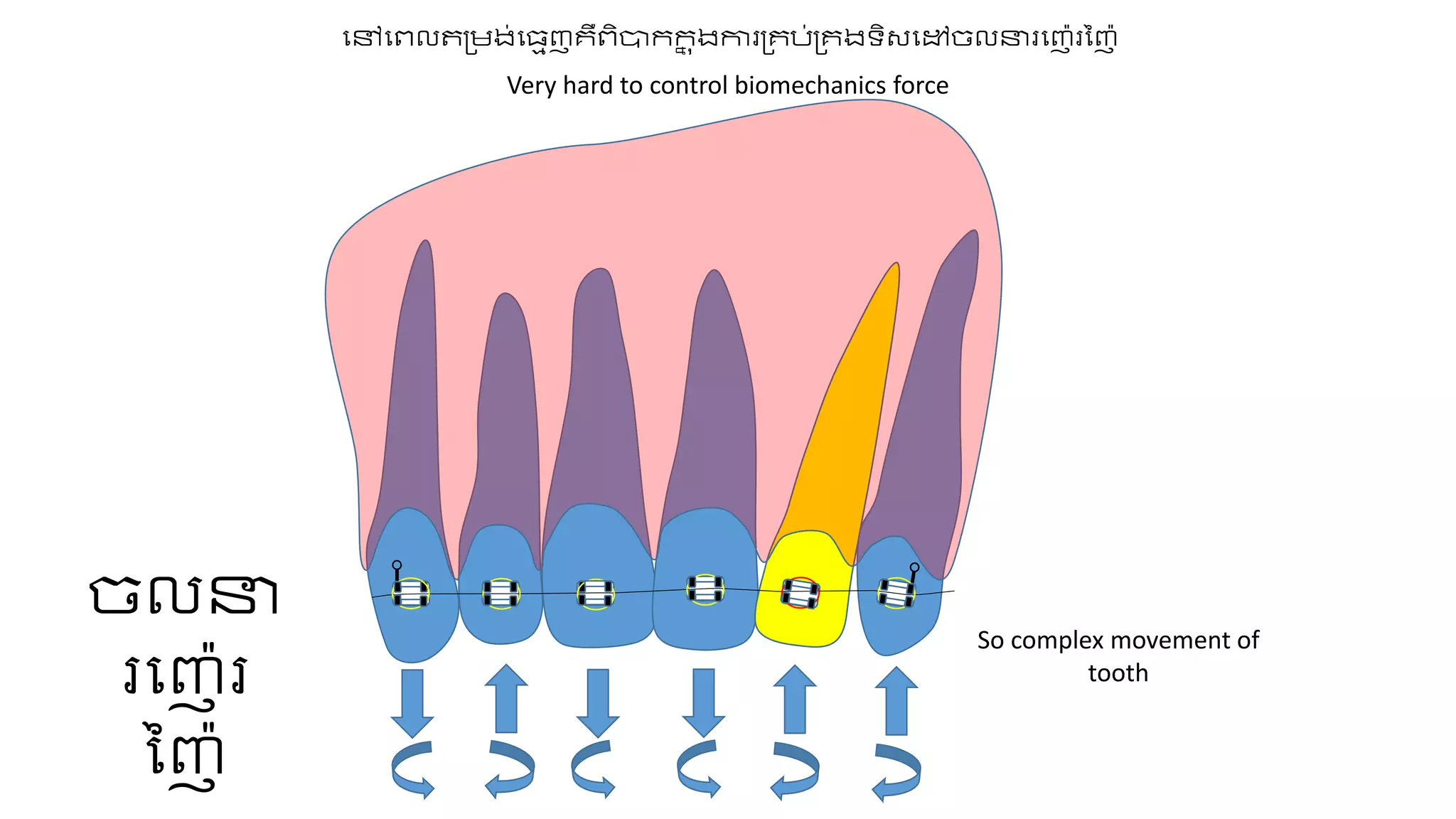 Alignment and rectangular loop | PPTX