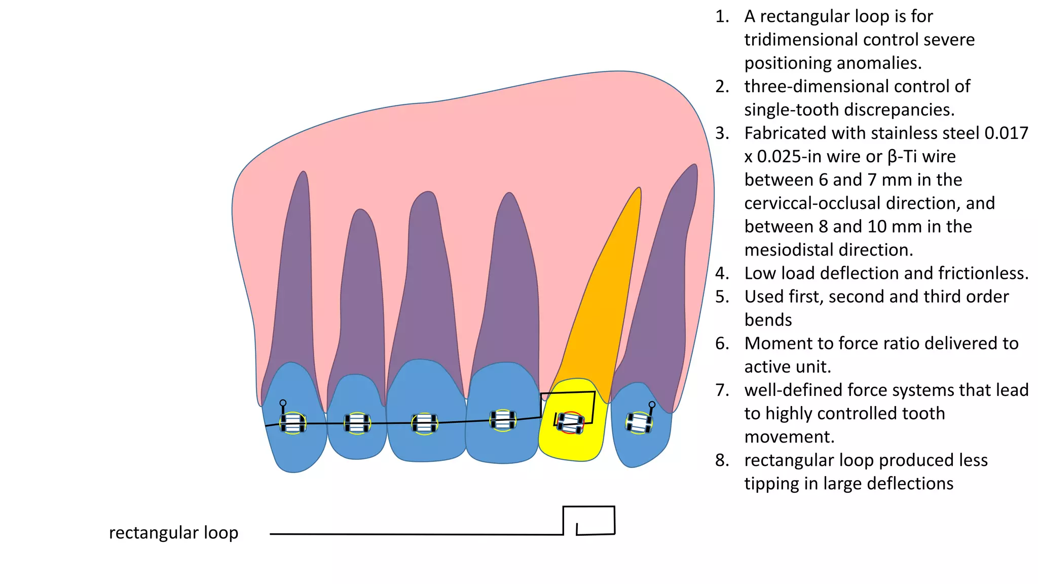 Alignment and rectangular loop | PPTX