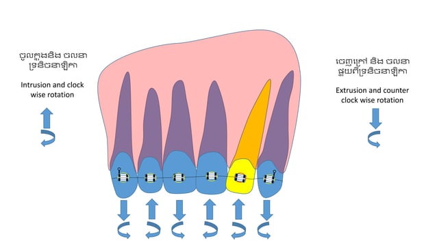 Alignment and rectangular loop | PPTX