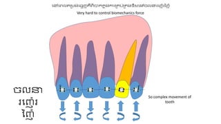 Alignment and rectangular loop | PPTX