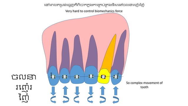 Alignment and rectangular loop | PPTX