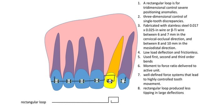 Alignment and rectangular loop | PPTX