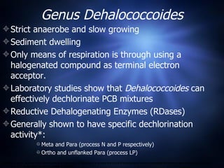 Rotation I Presentation | PPT