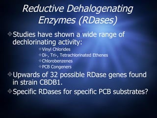 Rotation I Presentation | PPT