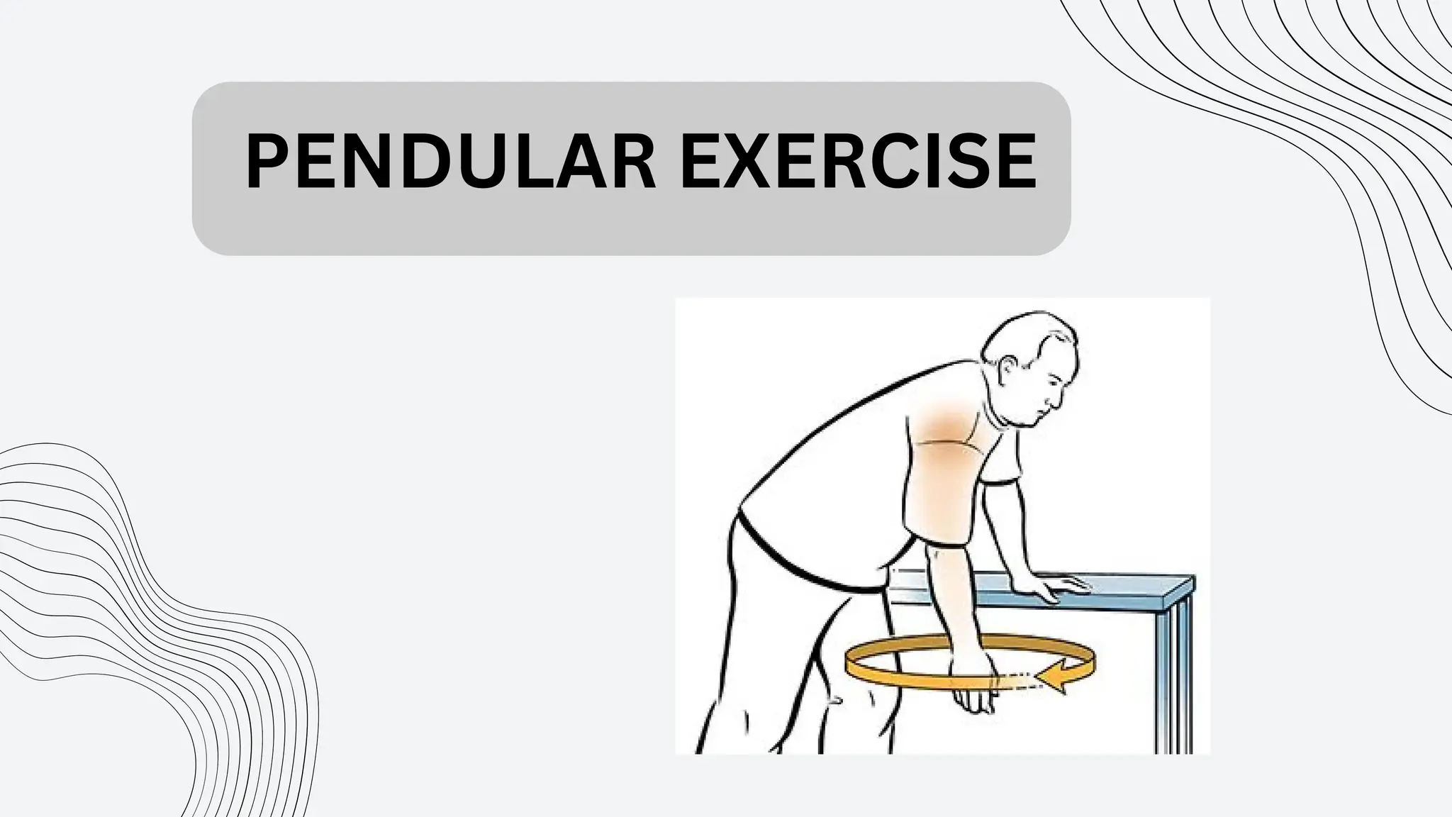 Rotator cuff muscles and their rehabilitation | PPT