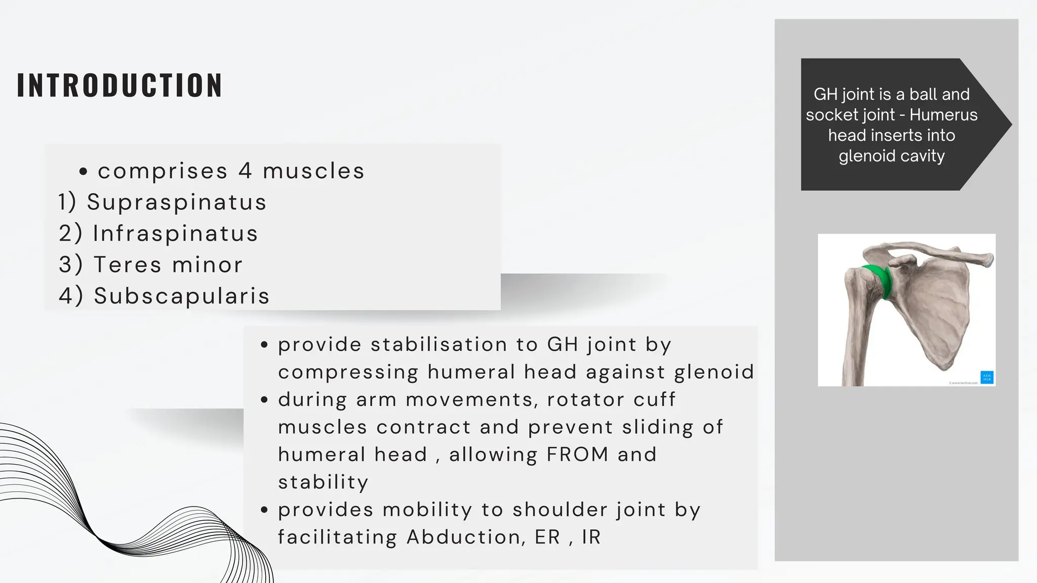 Rotator cuff muscles and their rehabilitation | PPT