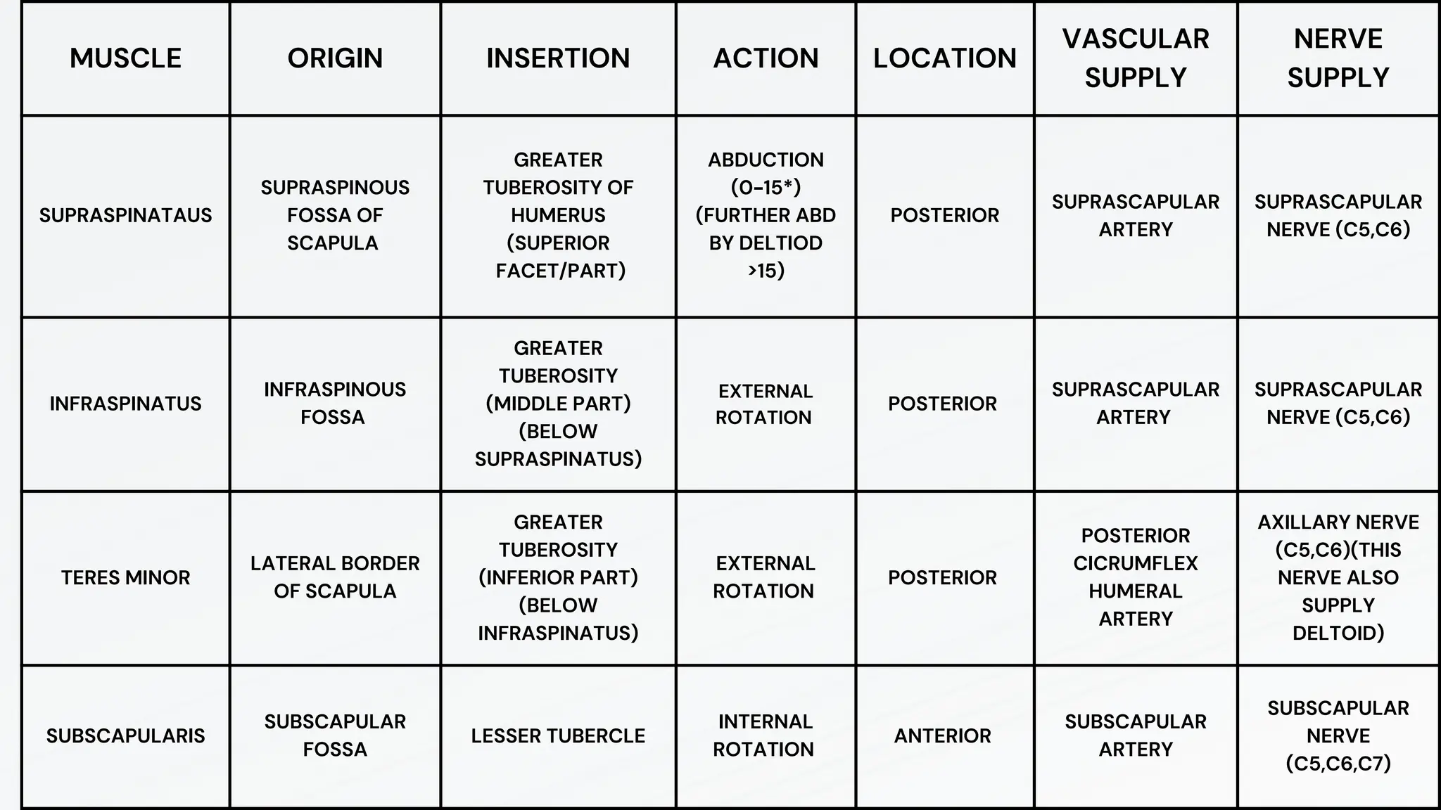 Rotator cuff muscles and their rehabilitation | PPT