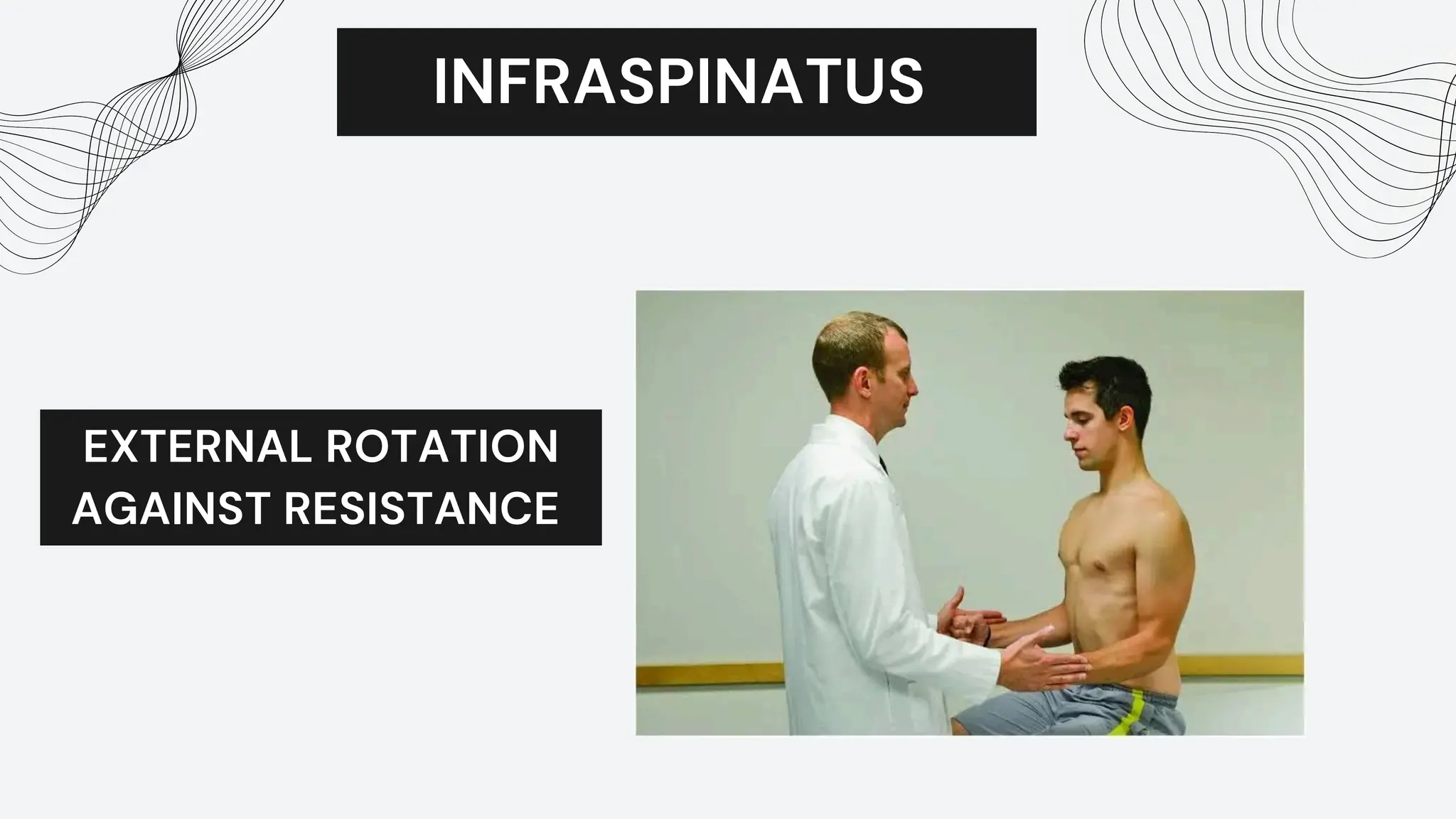 Rotator cuff muscles and their rehabilitation | PPT