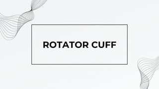 Rotator cuff muscles and their rehabilitation | PPT