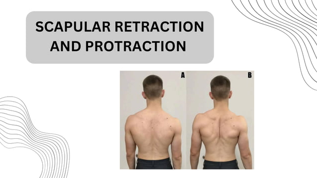 Rotator cuff muscles and their rehabilitation | PPT