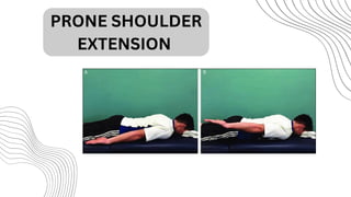 Rotator cuff muscles and their rehabilitation | PPT
