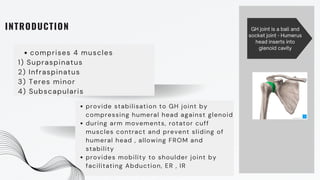 Rotator cuff muscles and their rehabilitation | PDF