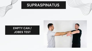 Rotator cuff muscles and their rehabilitation | PPT