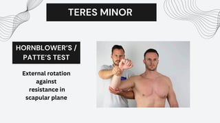 Rotator cuff muscles and their rehabilitation | PPT