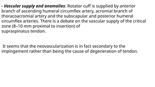 rotator cuff anatomy and its pathologies | PPTX