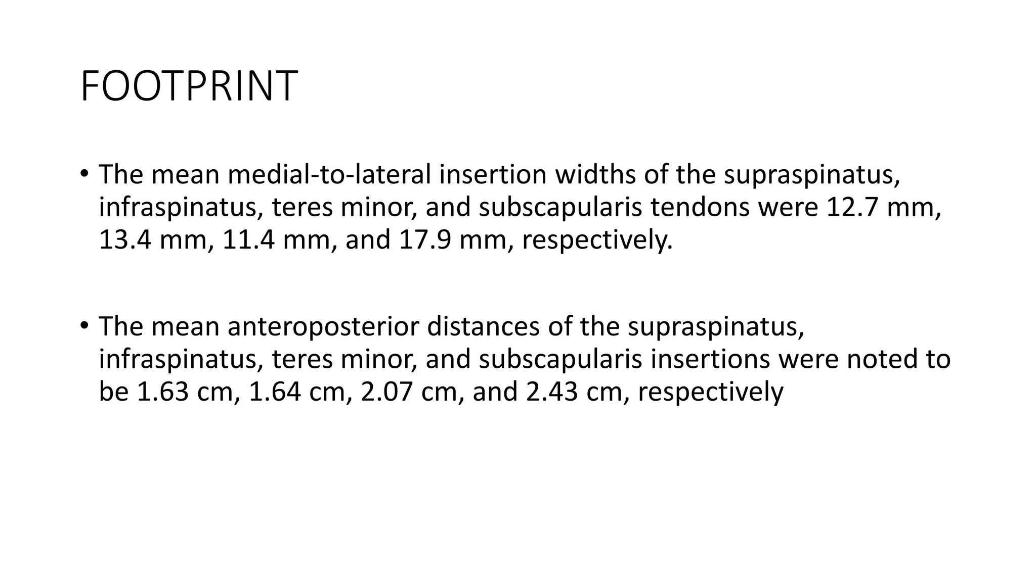 ROTATOR CUFF[4273].pptx