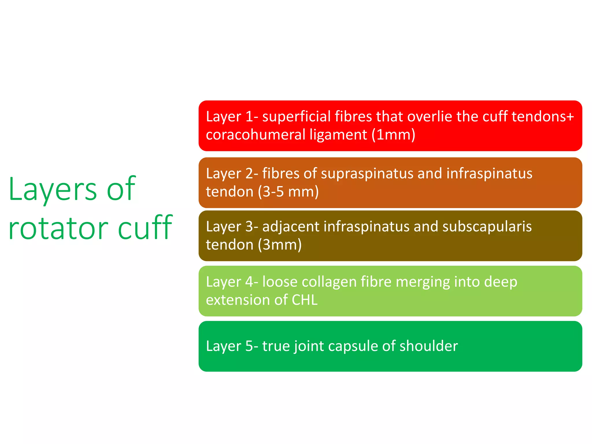 Rotator cuff disorders, bicipital tendinopathies | PPTX