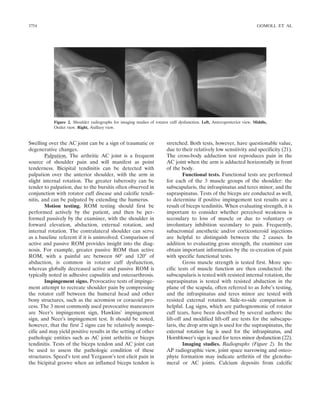 Rotator Cuff Disorders | Shoulder Surgeon | Greater Denver Colorado | PDF