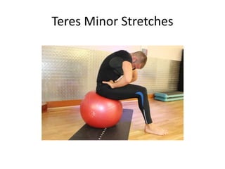 Teres Minor Exercises