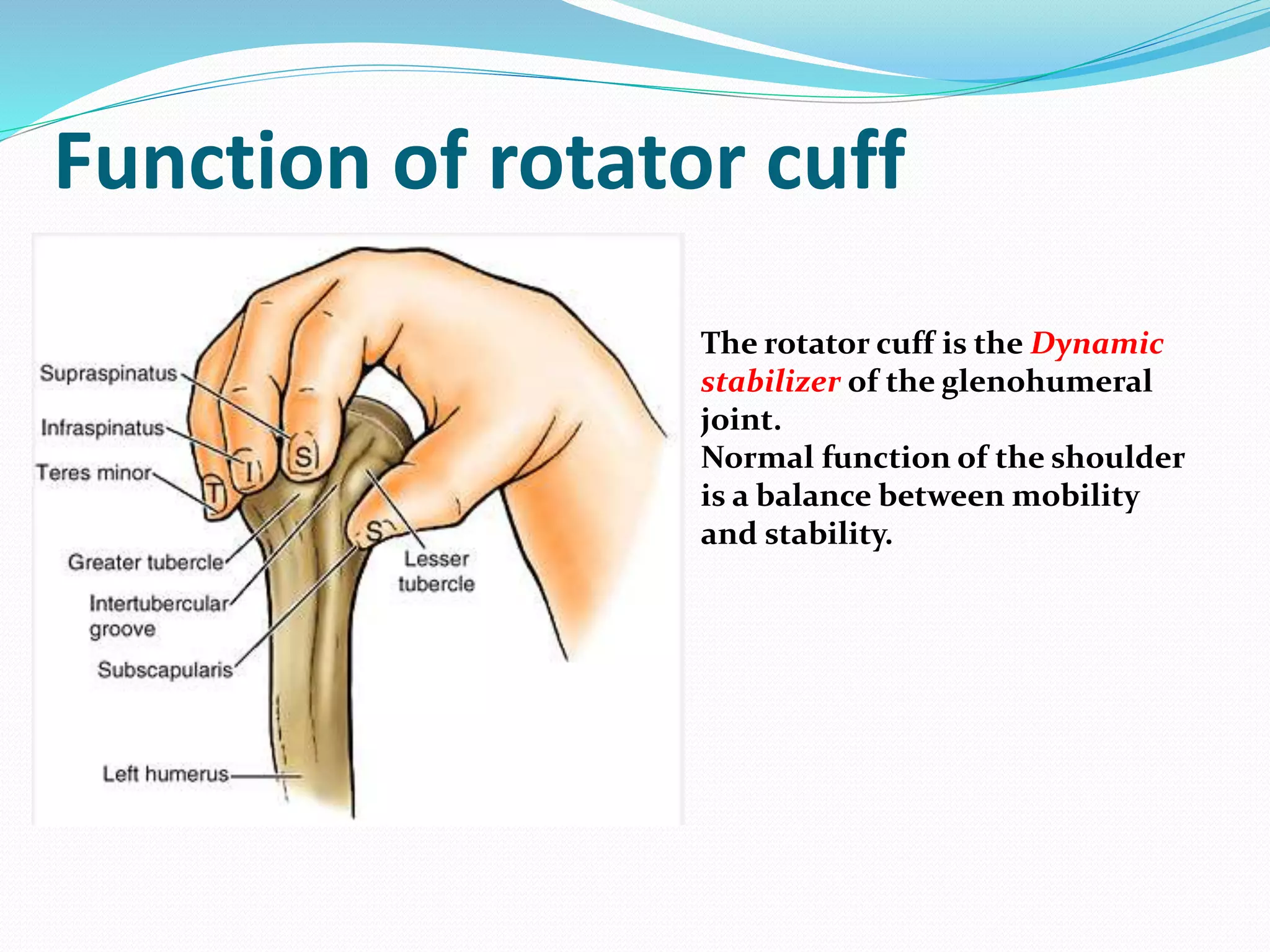 Rotator cuff injuries | PPTX