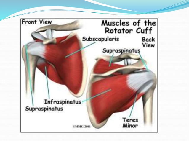 Rotator cuff injuries | PPTX