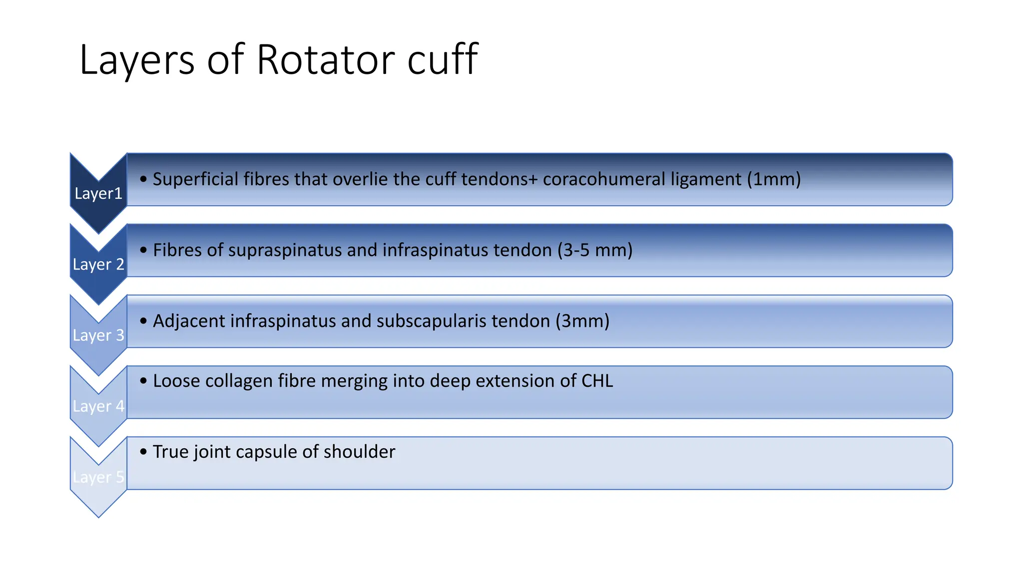Rotator Cuff Injuries present at Chirayu Medical College.pptx