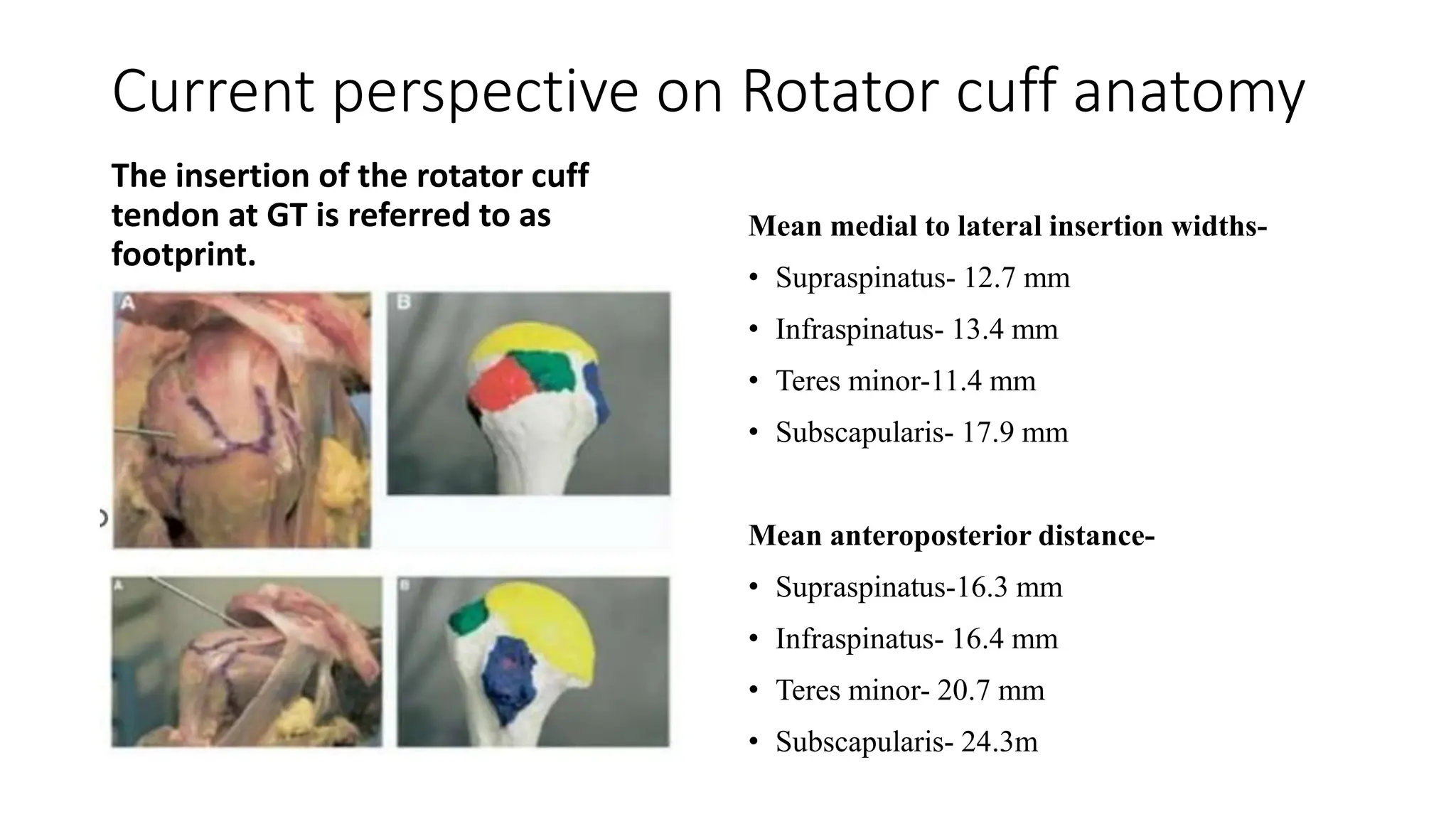 Rotator Cuff Injuries present at Chirayu Medical College.pptx