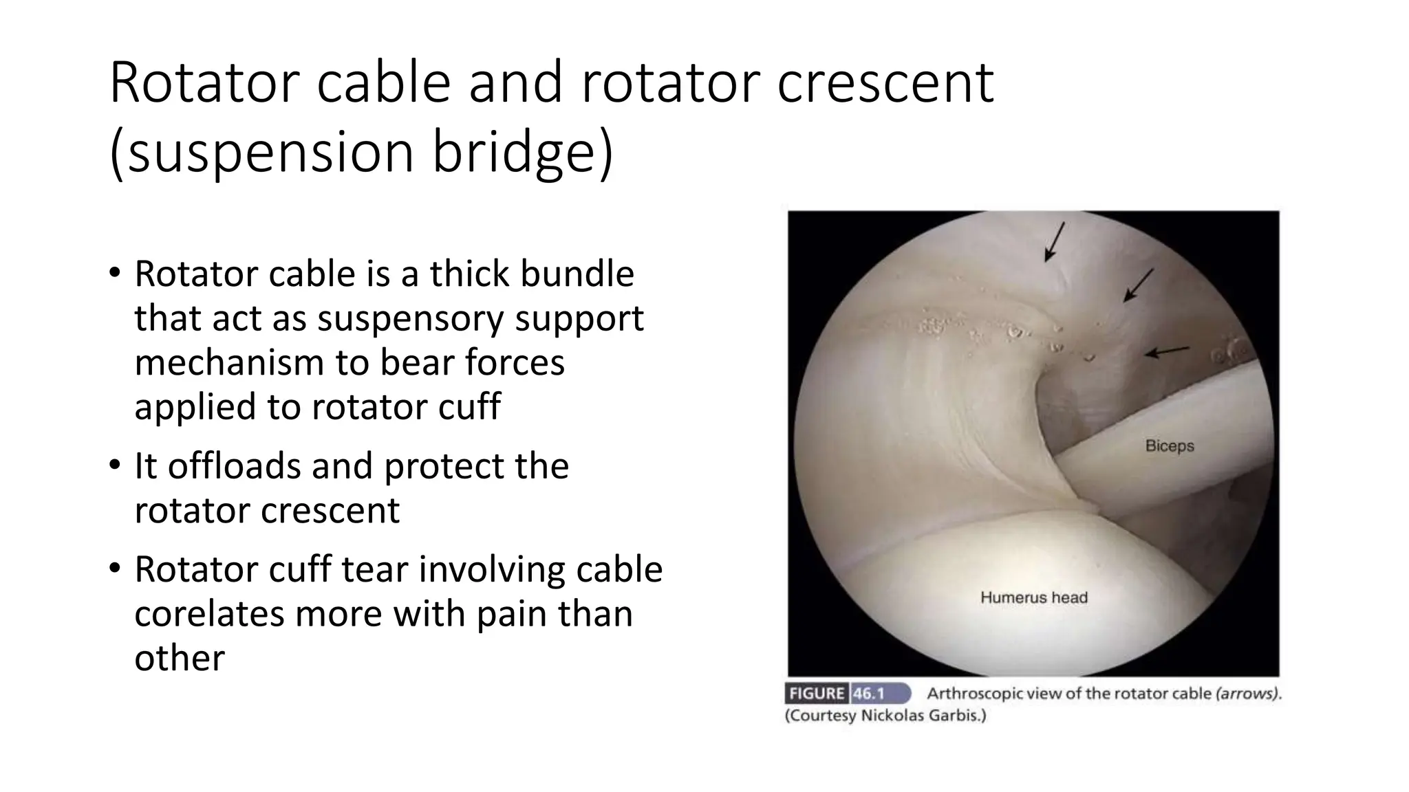 Rotator Cuff Injuries present at Chirayu Medical College.pptx