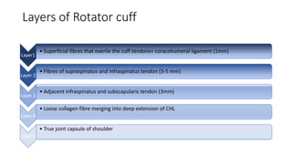 Rotator Cuff Injuries present at Chirayu Medical College.pptx