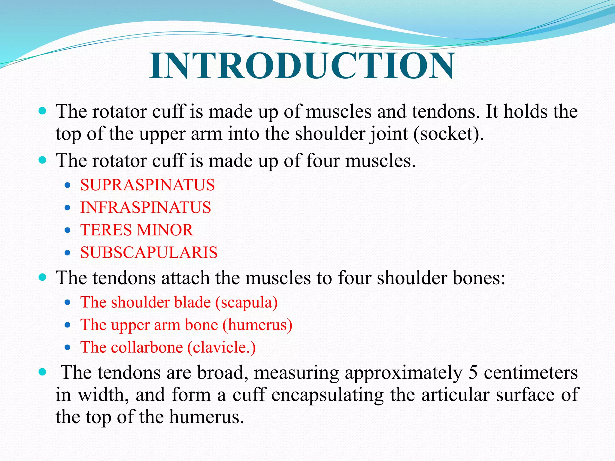 Rotator cuff injuries.pptx | Death, Injury, or Military Conflict ...