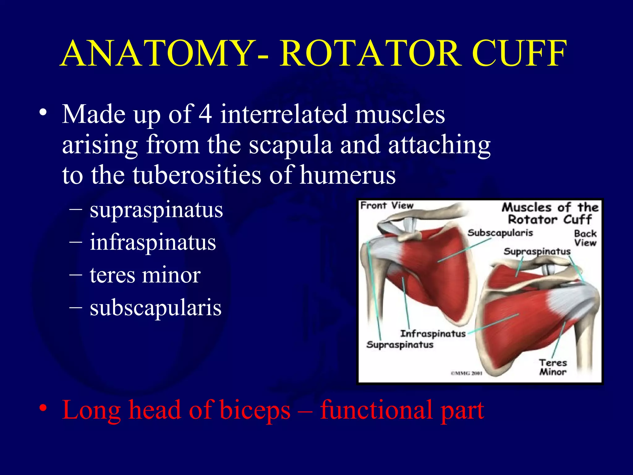 Rotator Cuff Injuries - Dr.CHINTAN N. PATEL | PPT
