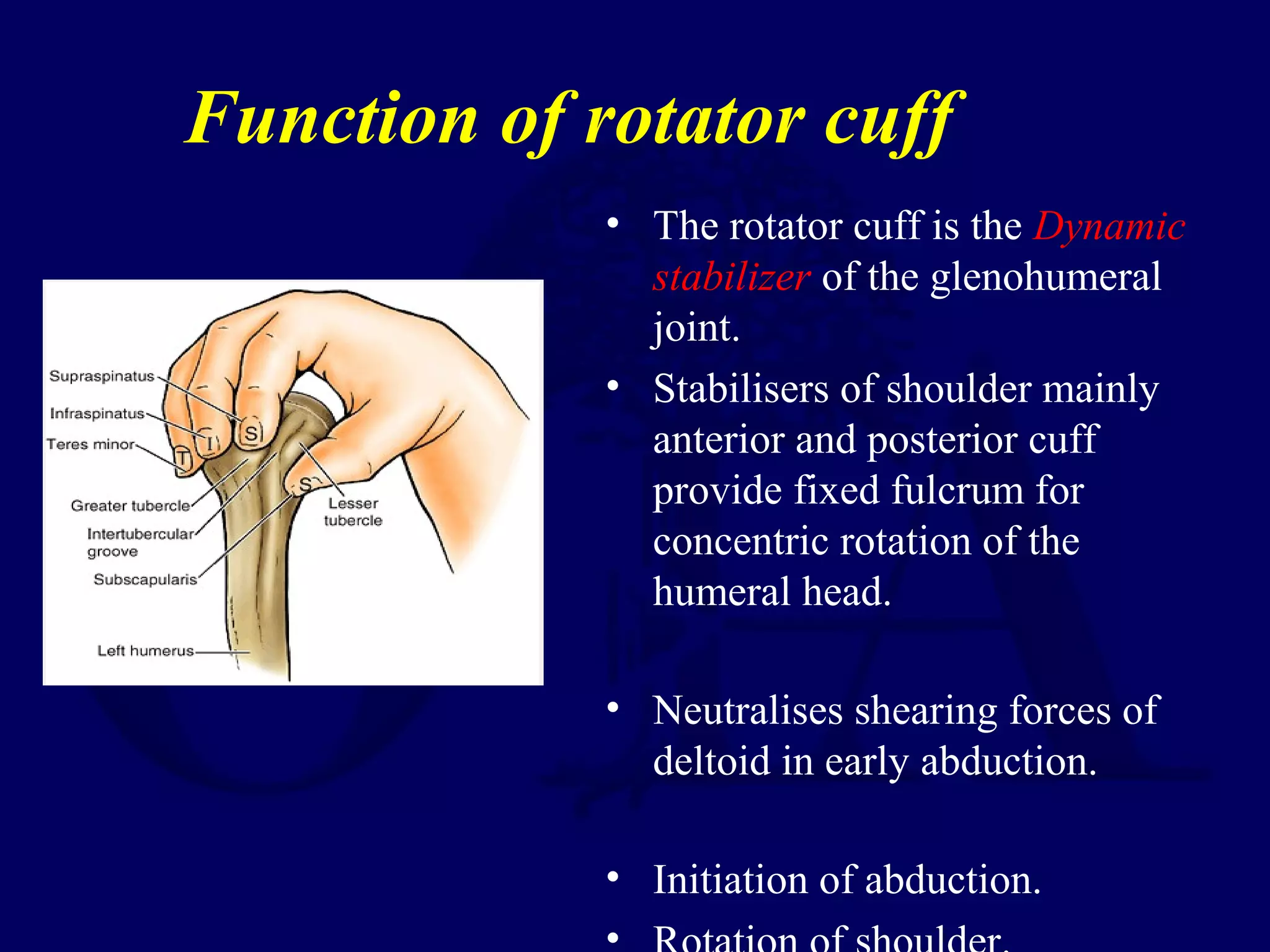 Rotator Cuff Injuries - Dr.CHINTAN N. PATEL | PPT