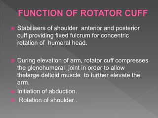 ROTATOR CUFF INJURY.pptx