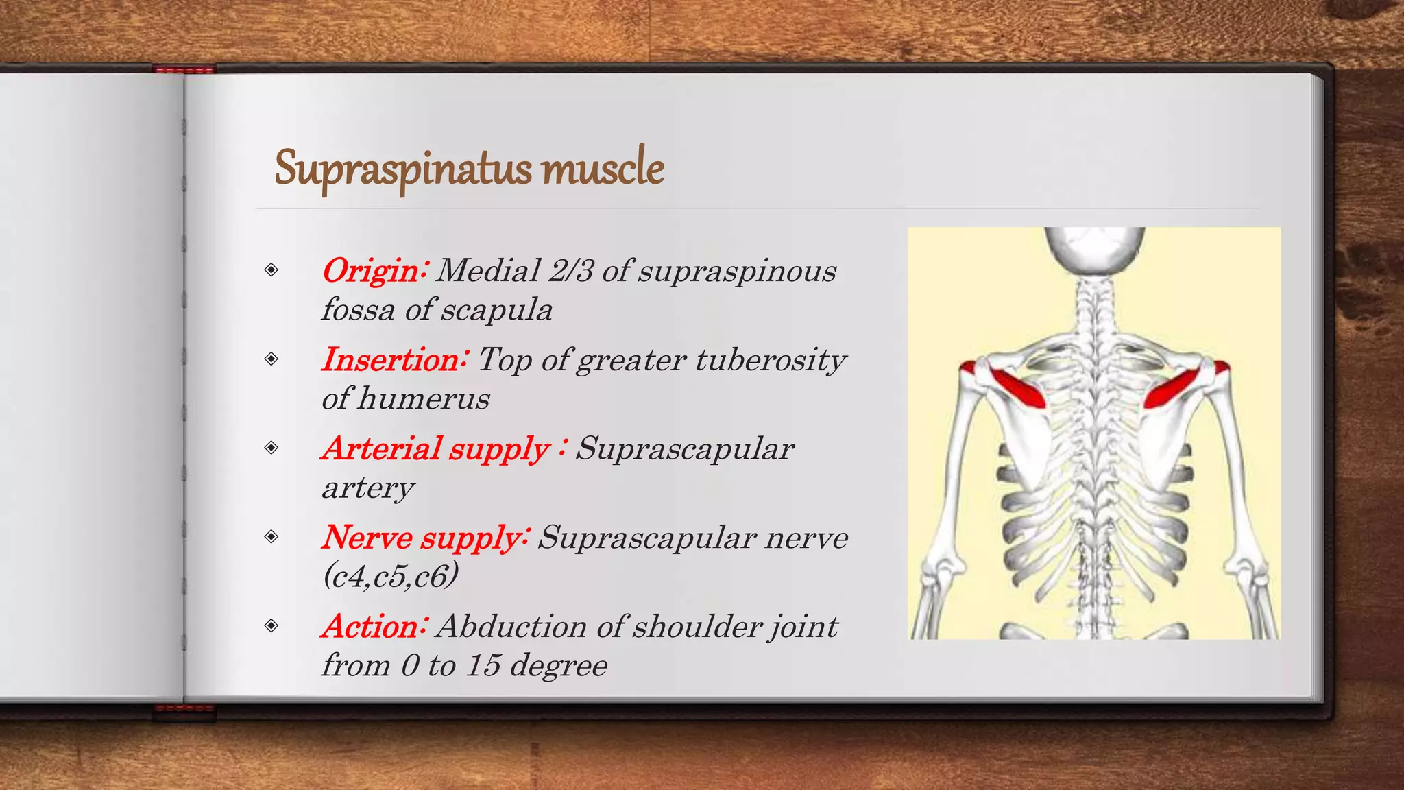 Rotator cuff ppt | PPTX