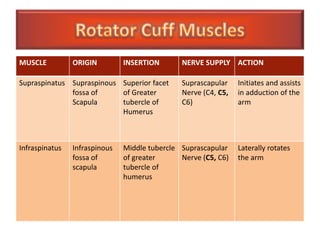 Rotator cuff muscles | PPTX