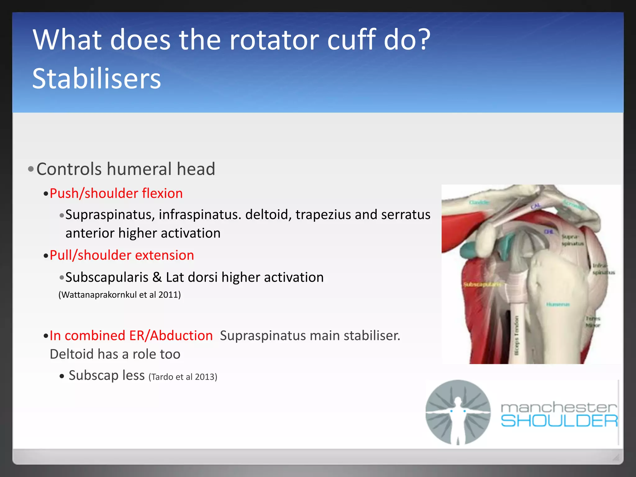 A practical guide to Rotator Cuff Rehab | PDF