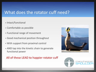 A practical guide to Rotator Cuff Rehab | PDF