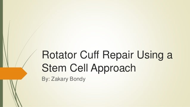 Rotator cuff stem cell treatment - bathfiln