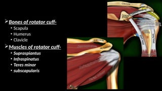 ROTATOR CUFF TEAR PATTERNS and normal.pptx