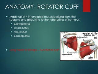 Rotator cuff tears presentation ortho.pptx