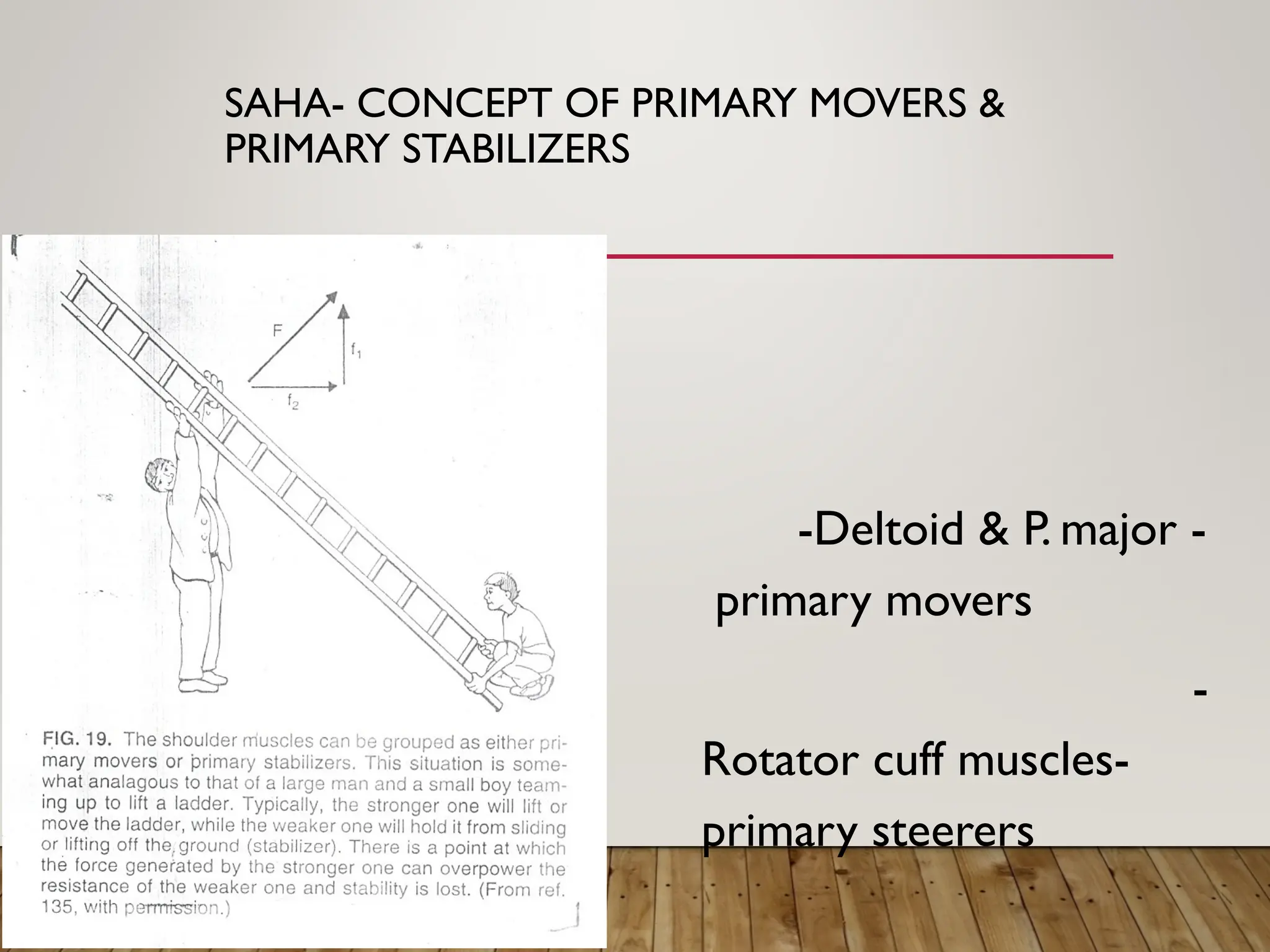 -ROTATOR CUFF TEARS BRIEF PRESENTATION . | PPT