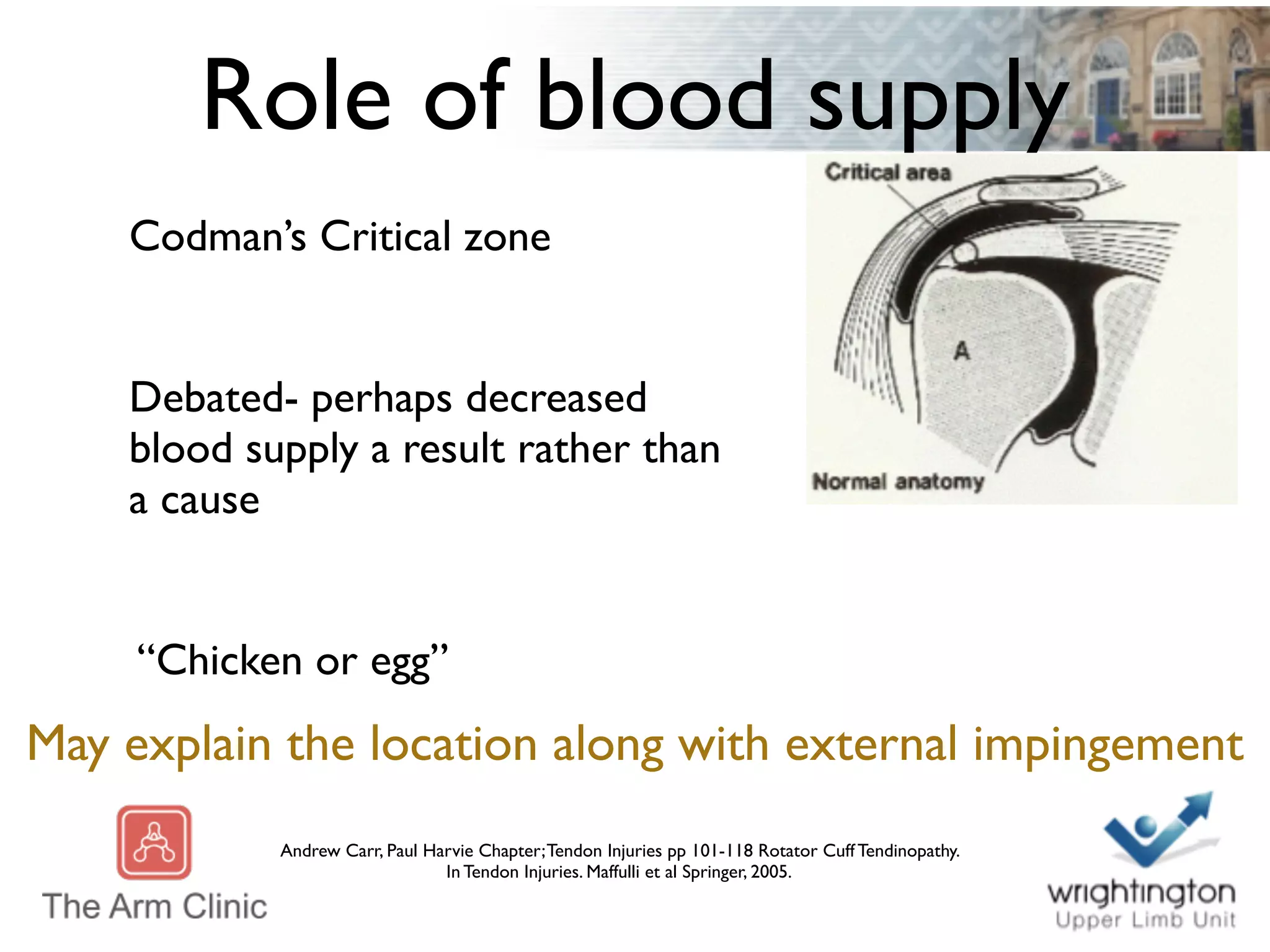 Rotator Cuff Tendinopathy | PDF