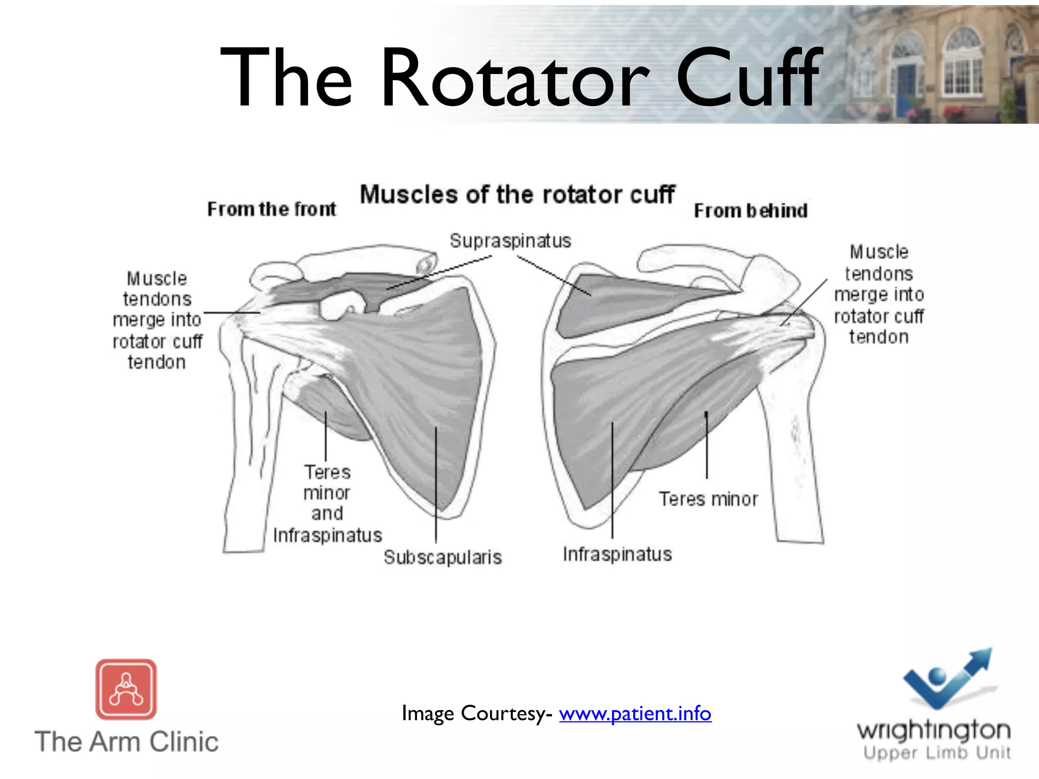 Rotator Cuff Tendinopathy | PDF