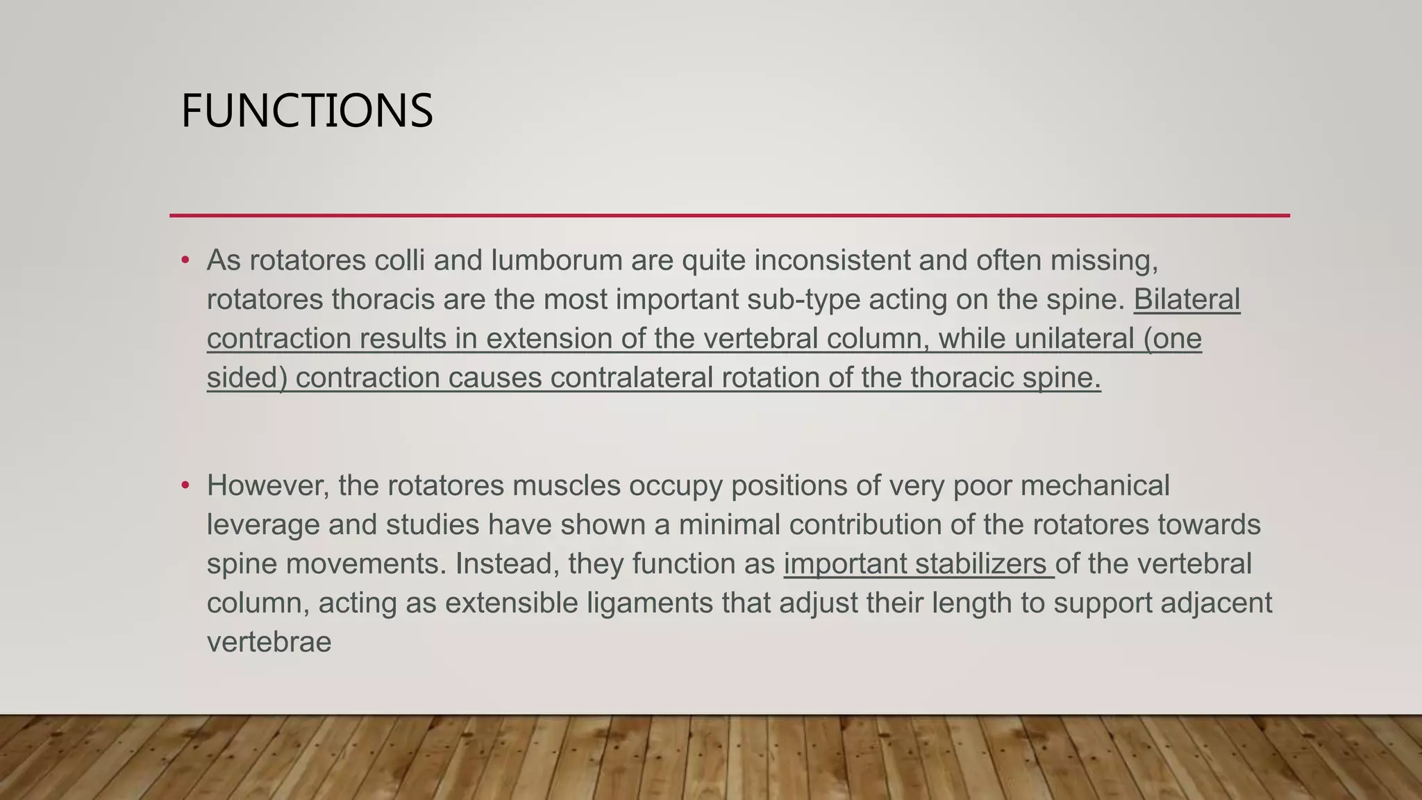 Rotatores .. (1) DEEP MUSCLE OF THE BACK | PPTX