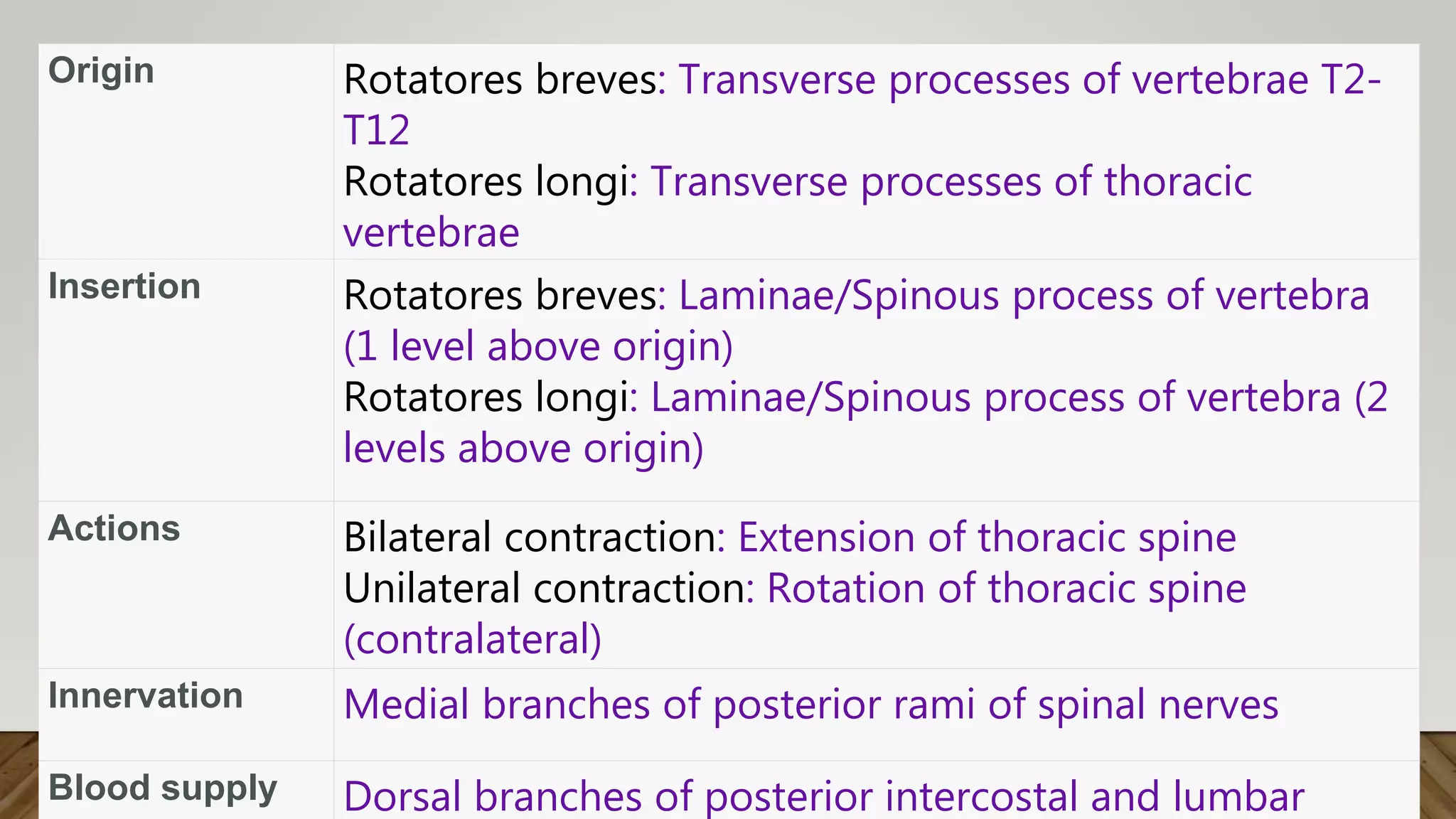 Rotatores .. (1) DEEP MUSCLE OF THE BACK