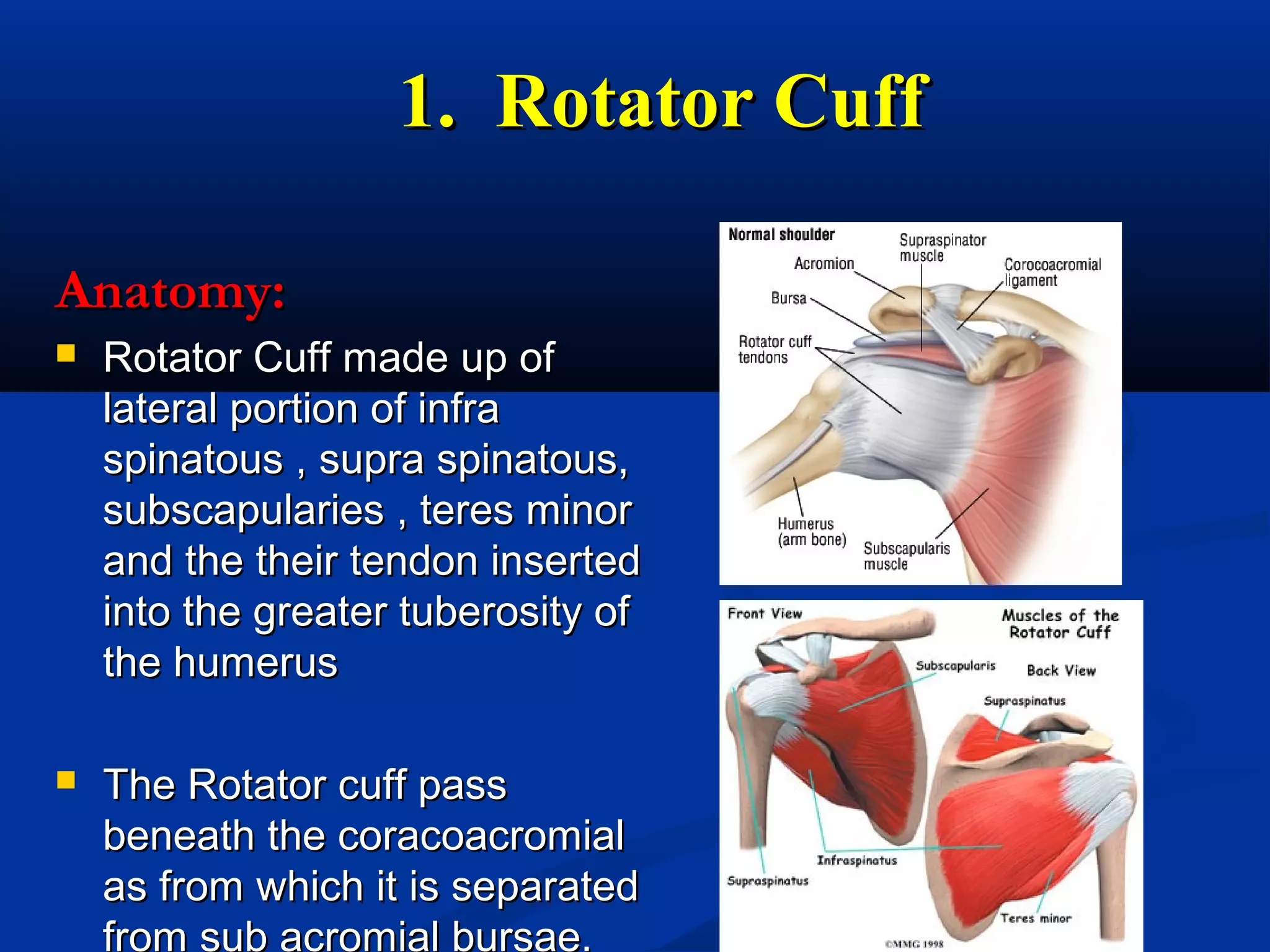 Rotatory cuff syndrome & Scapular Dyskinesia | PPT
