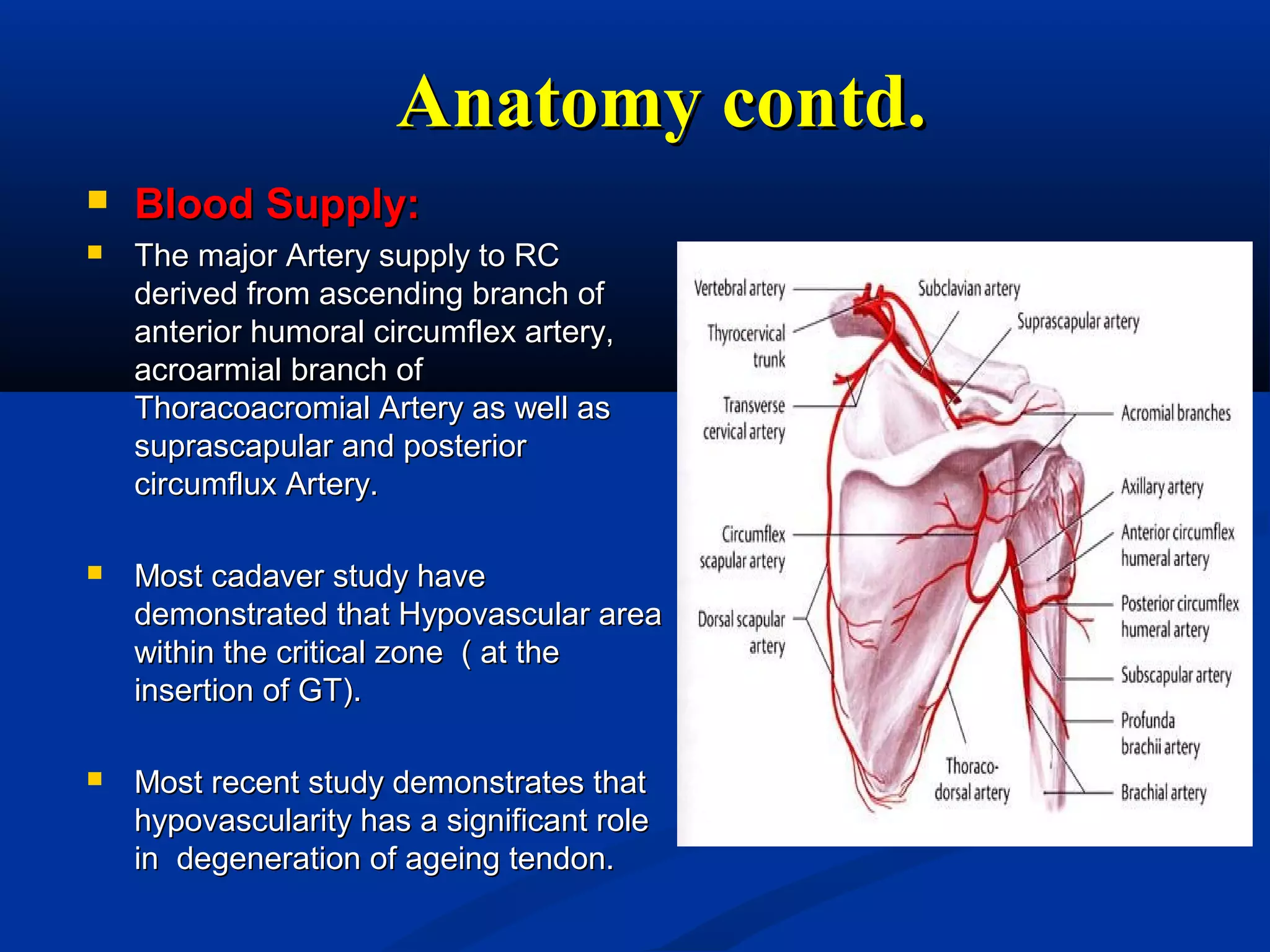 Rotatory cuff syndrome & Scapular Dyskinesia | PPT