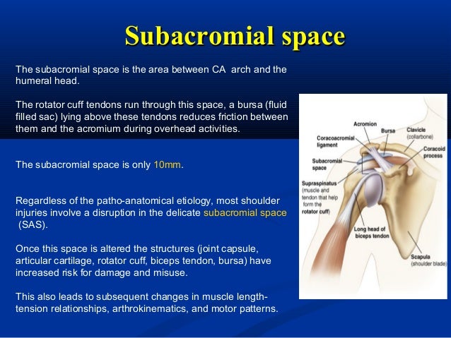 Rotatory cuff syndrome & Scapular Dyskinesia