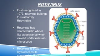 Rotavirus | PPTX